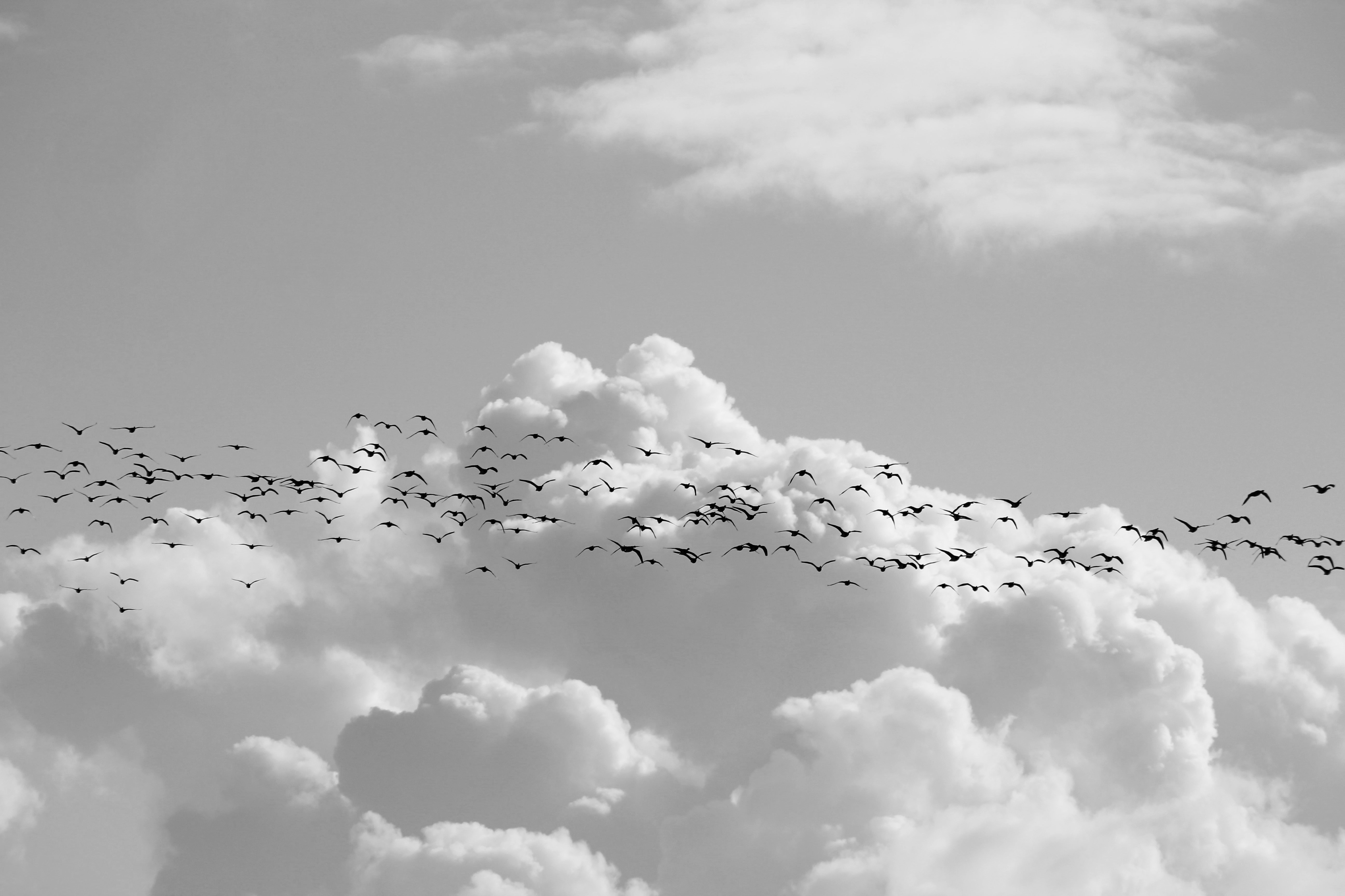 Is it time to consider migrating or replatforming your ecommerce site? Is it time to consider migrating or replatforming your ecommerce site?